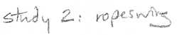 Study 2 Ropeswing.jpg